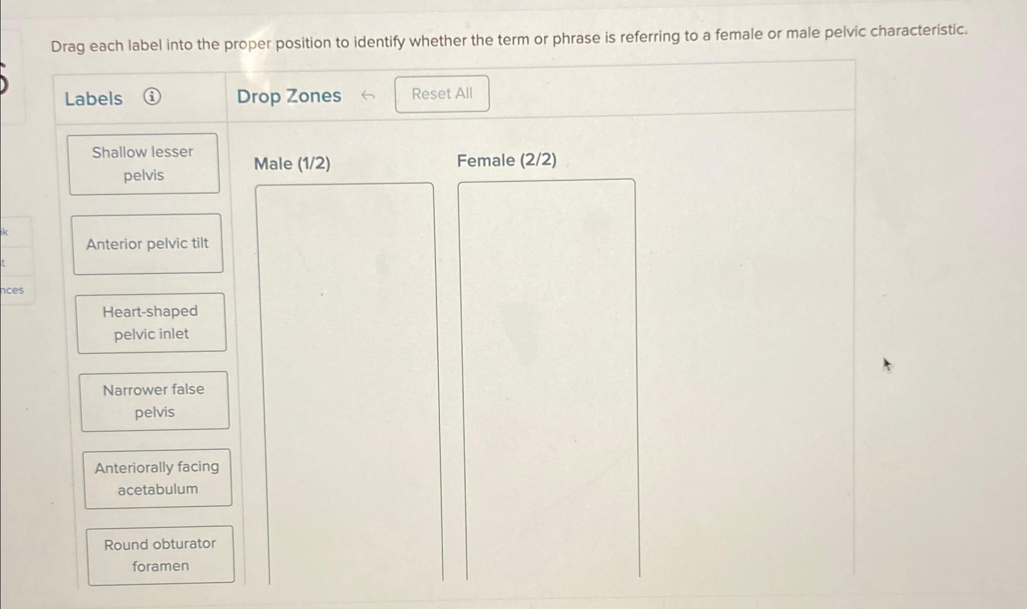 Solved Drag each label into the proper position to identify | Chegg.com