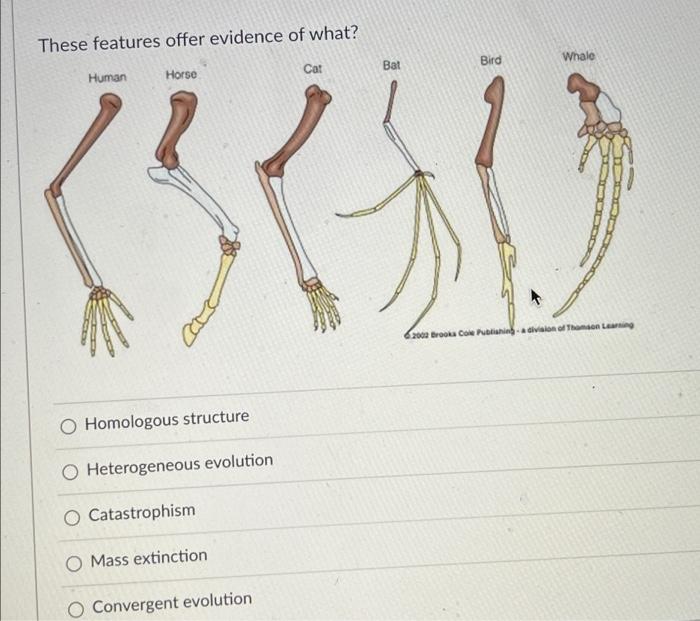 Solved Thece features offer evidence of what? Homologous | Chegg.com