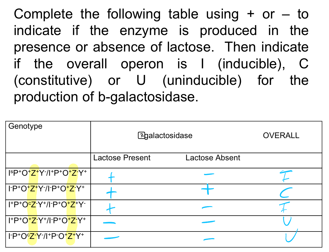 Solved Complete the following table using + ﻿or - | Chegg.com