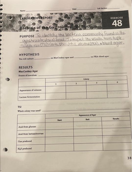 Date: Lab Section Name: EXERCISE LABORATORY REPORT | Chegg.com