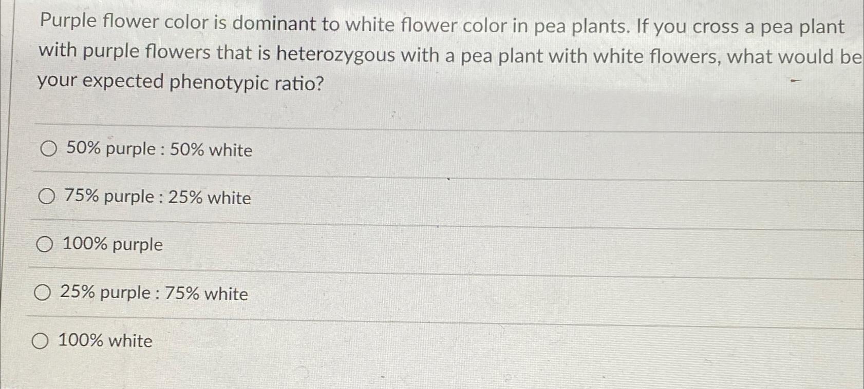 Solved Purple flower color is dominant to white flower color | Chegg.com