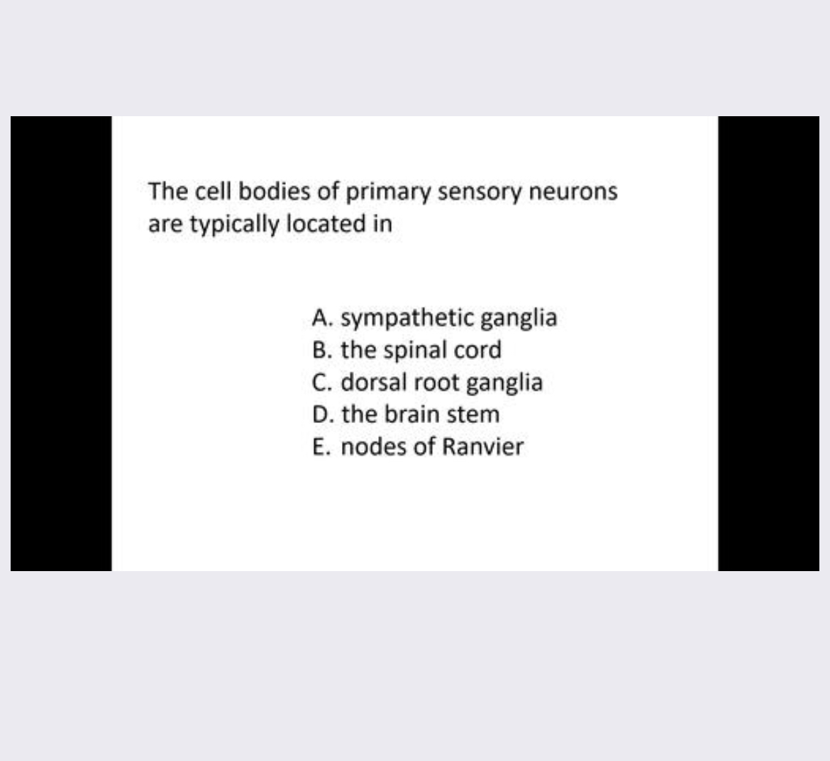 Solved The cell bodies of primary sensory neurons are | Chegg.com