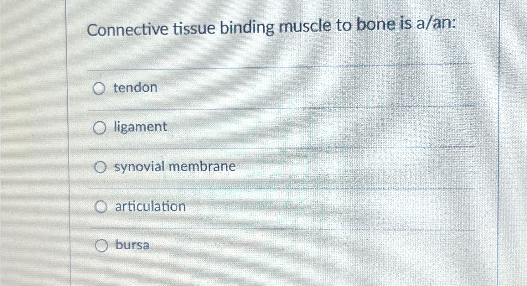 Solved Connective tissue binding muscle to bone is | Chegg.com