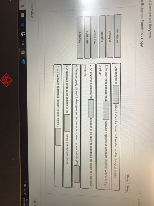 Solved ll Overview and Enzymes w Enzymes Function - Copy