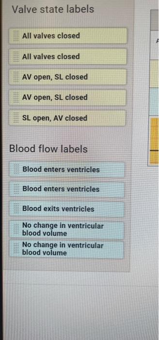 Blood flow labels Valve state labels All valves | Chegg.com
