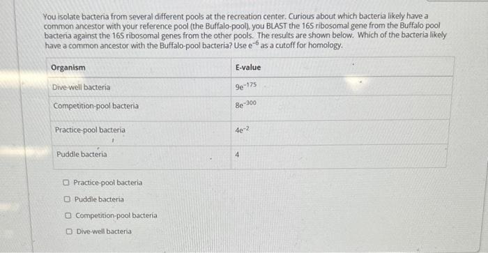 Solved You isolate bacteria from several different pools at | Chegg.com