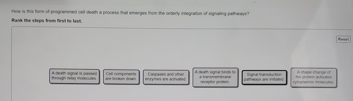 Solved How is this form of programmed cell death a process | Chegg.com
