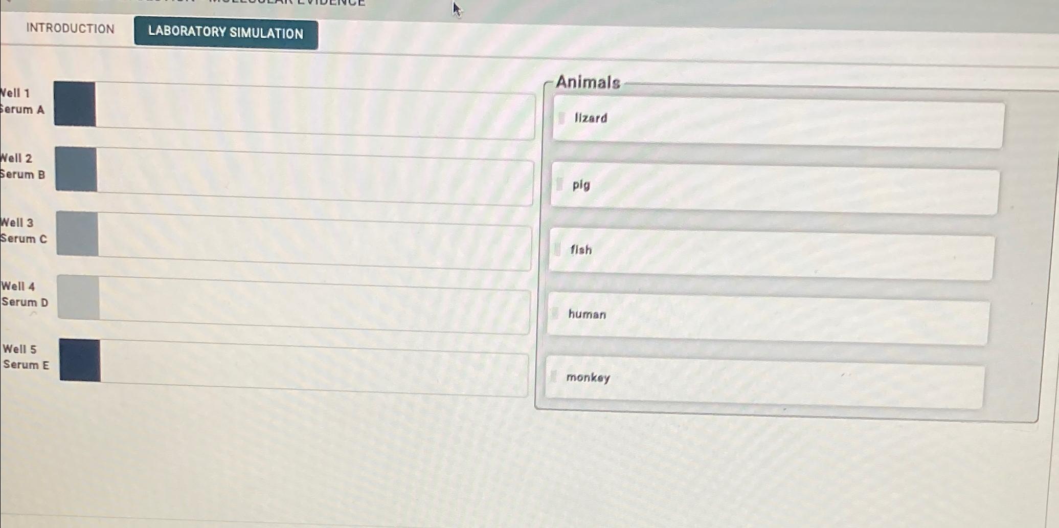 Solved INTRODUCTIONNell 1AnimalsSerum ANell 2Serum BWell | Chegg.com
