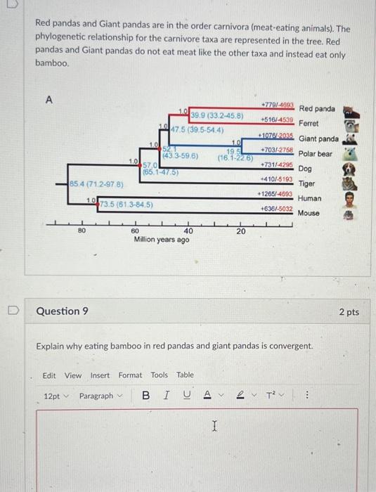 Solved Red pandas and Giant pandas are in the order | Chegg.com
