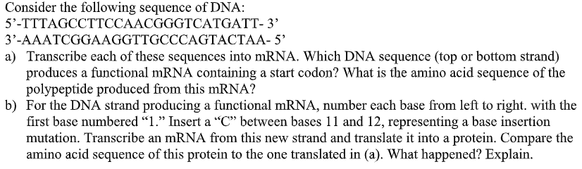 Solved Consider the following sequence of DNA: | Chegg.com
