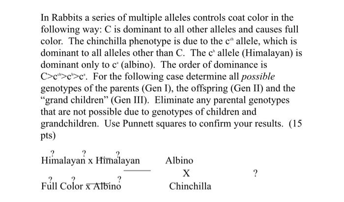 In Rabbits a series of multiple alleles controls coat | Chegg.com