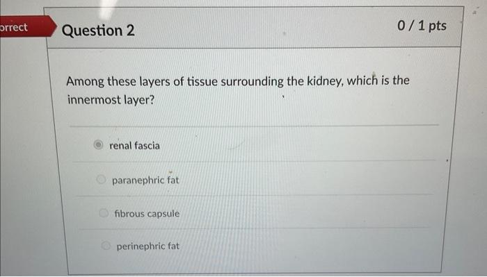 Solved Among these layers of tissue surrounding the kidney, | Chegg.com