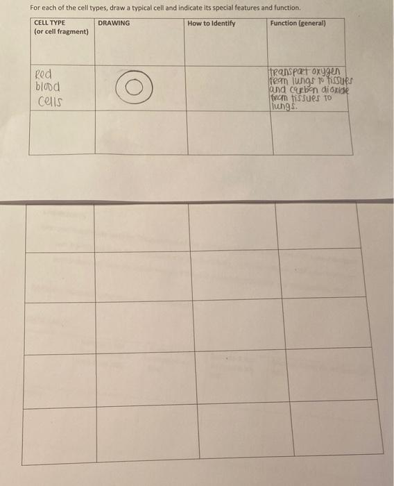 Solved For each of the cell types, draw a typical cell and | Chegg.com