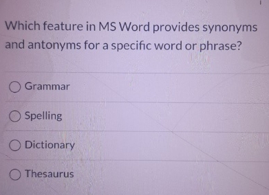 Solved Which feature in MS Word provides synonyms and | Chegg.com