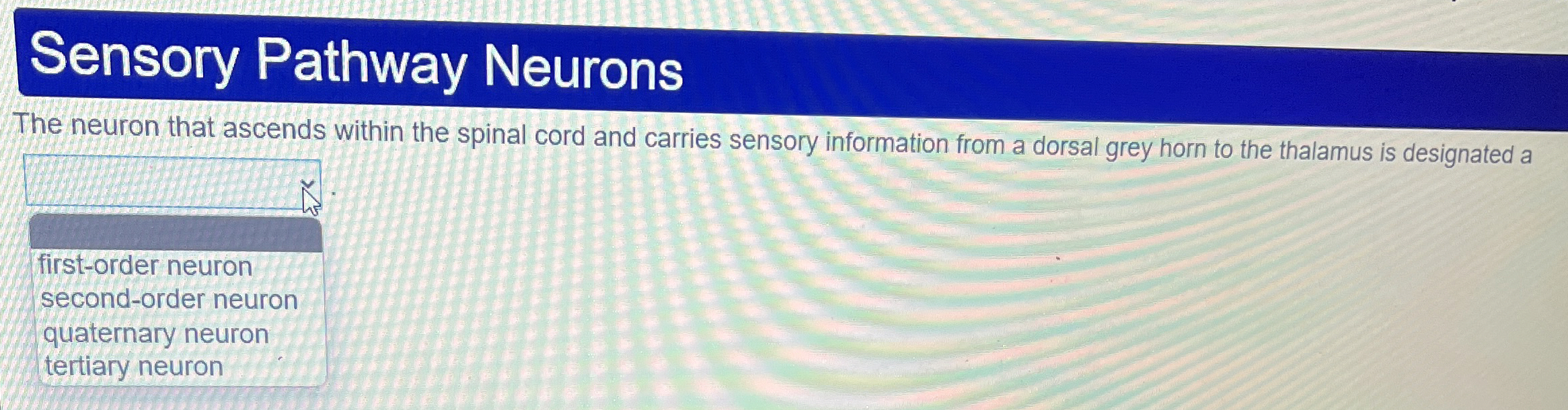 Solved Sensory Pathway NeuronsThe neuron that ascends within | Chegg.com