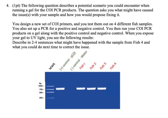 Solved (1pt) The following question describes a potential | Chegg.com