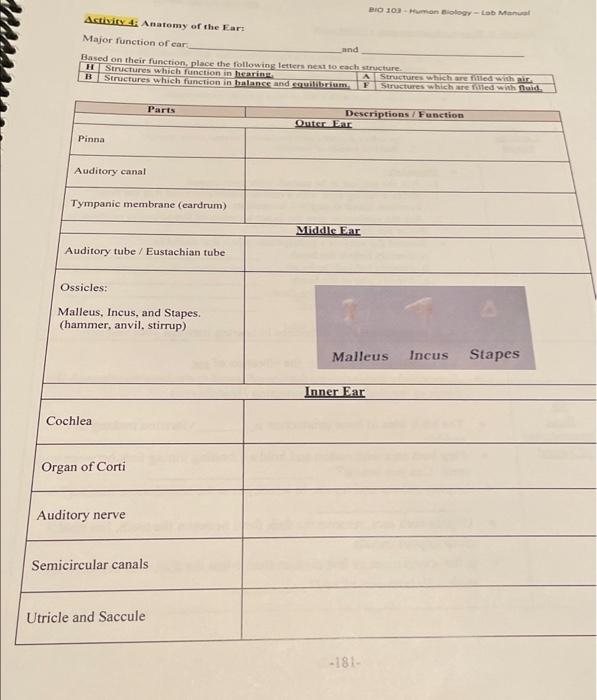 Solved EnO 103 - Muman Biotogr - Iab Manual Activicy 4i | Chegg.com