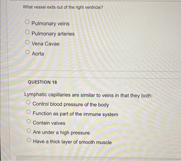 Solved What vessel exits out of the right ventricle? | Chegg.com