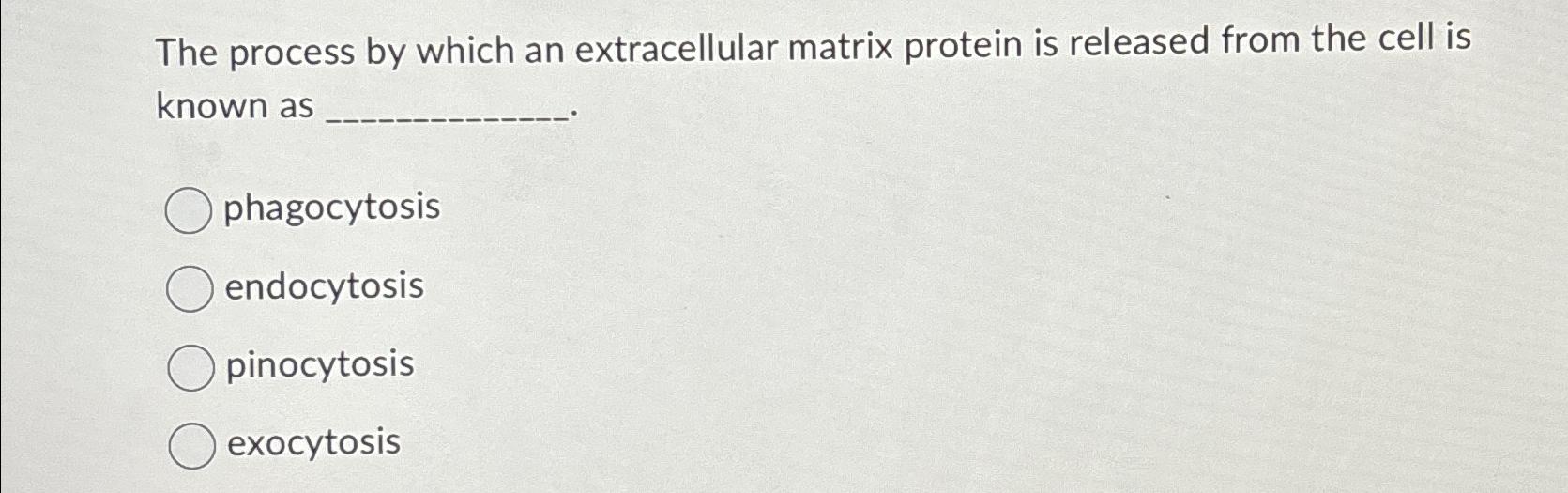 Solved The process by which an extracellular matrix protein | Chegg.com