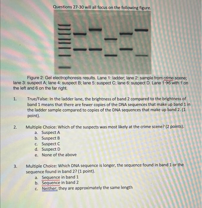 Solved Questions 27-30 will all focus on the following | Chegg.com