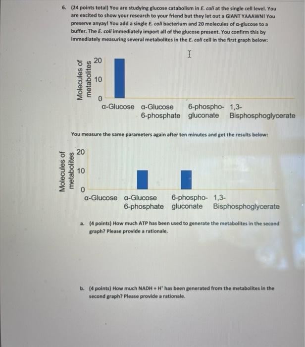 Solved 6. (24 points total) You are studying glucose | Chegg.com