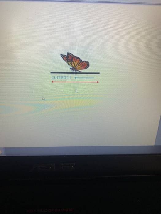 Solved nment FULL SCREEN PRINTER VERSION 4 Аск NEXT Question | Chegg.com