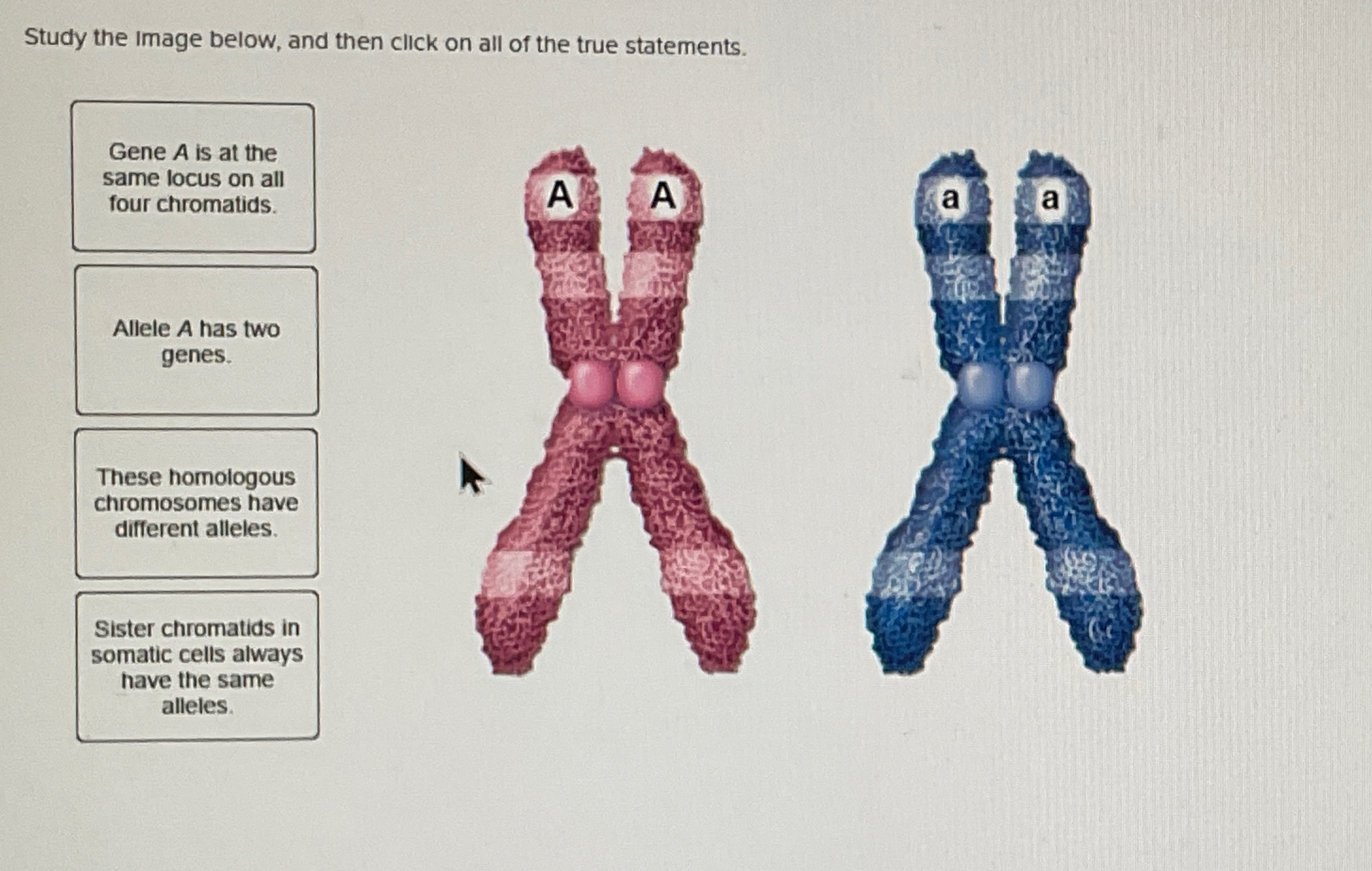 Solved Study the image below, and then click on all of the | Chegg.com