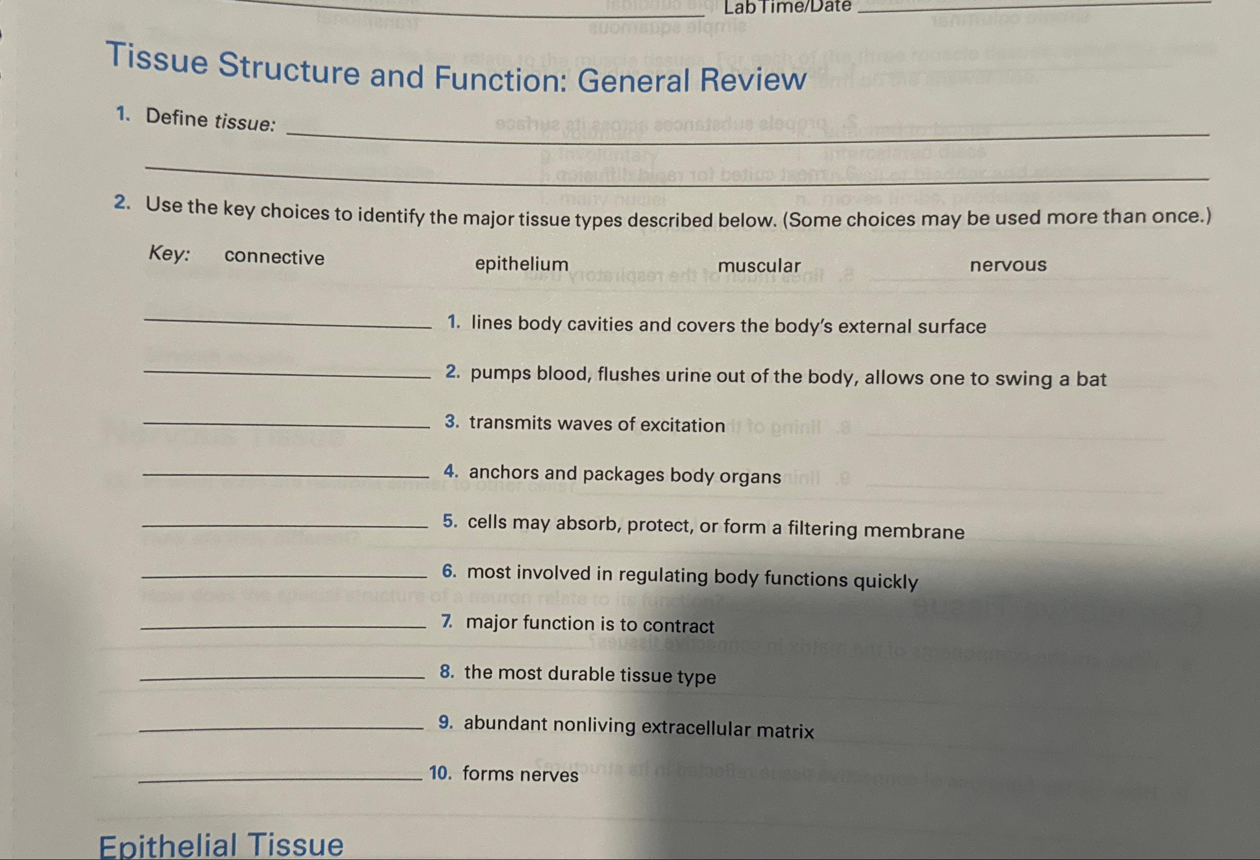 Solved Tissue Structure And Function General Reviewdefine