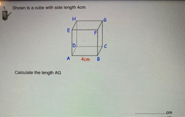 Solved 1. Shown is a cube with side length 4cm. CH Н. G E F | Chegg.com