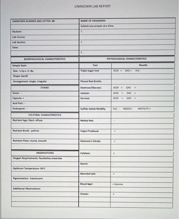 Solved Task UNKNOWN LAB REPORT UNKNOWN NUMBER AND LETTER: 86 | Chegg.com