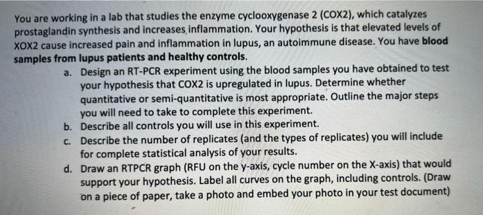 Solved You are working in a lab that studies the enzyme | Chegg.com