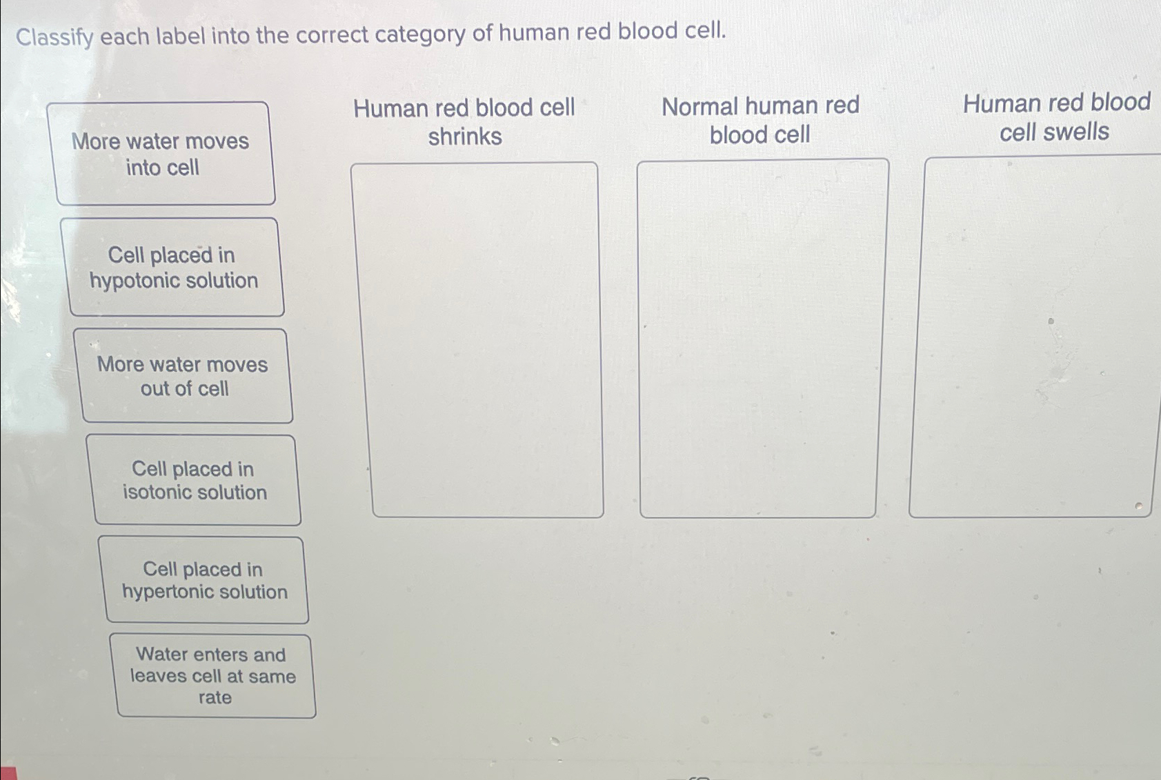 Solved Classify each label into the correct category of | Chegg.com