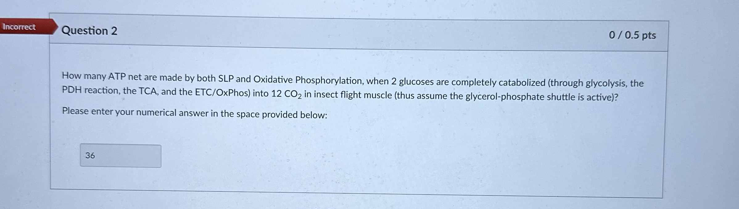 Solved IncorrectQuestion 200.5 ﻿ptsHow many ATP net are made | Chegg.com