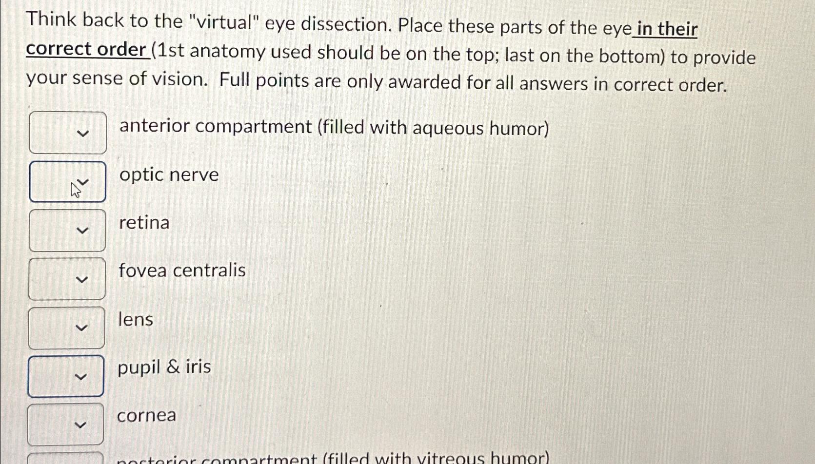 Solved Think back to the "virtual" eye dissection. Place | Chegg.com