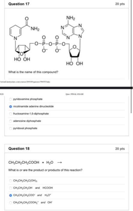 Solved Question 17 20 pts NH2 NH2 -O-P-O-P-O 0 0 HO OH но он | Chegg.com
