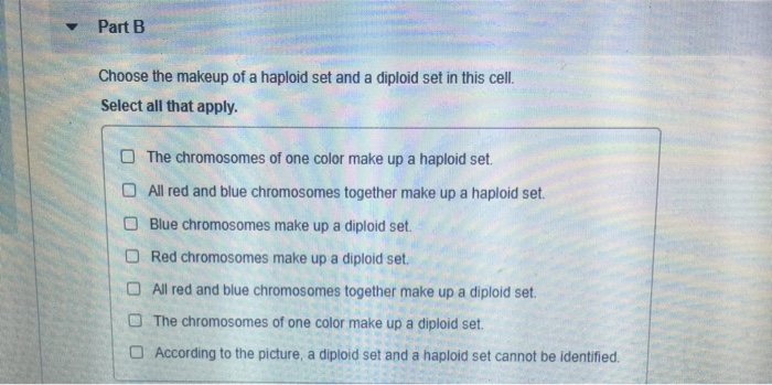 Solved Sister chromatids Centromere Sister chromatid | Chegg.com