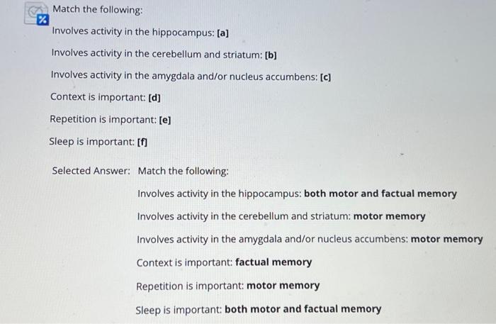 Solved % Involves activity in the hippocampus: [a] Involves | Chegg.com