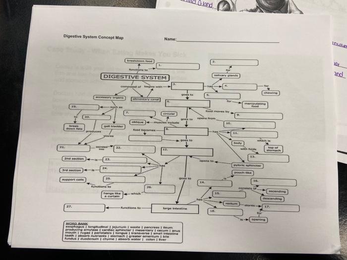 Solved Gland, Digestive System Concept Map Name: LUME 1. | Chegg.com