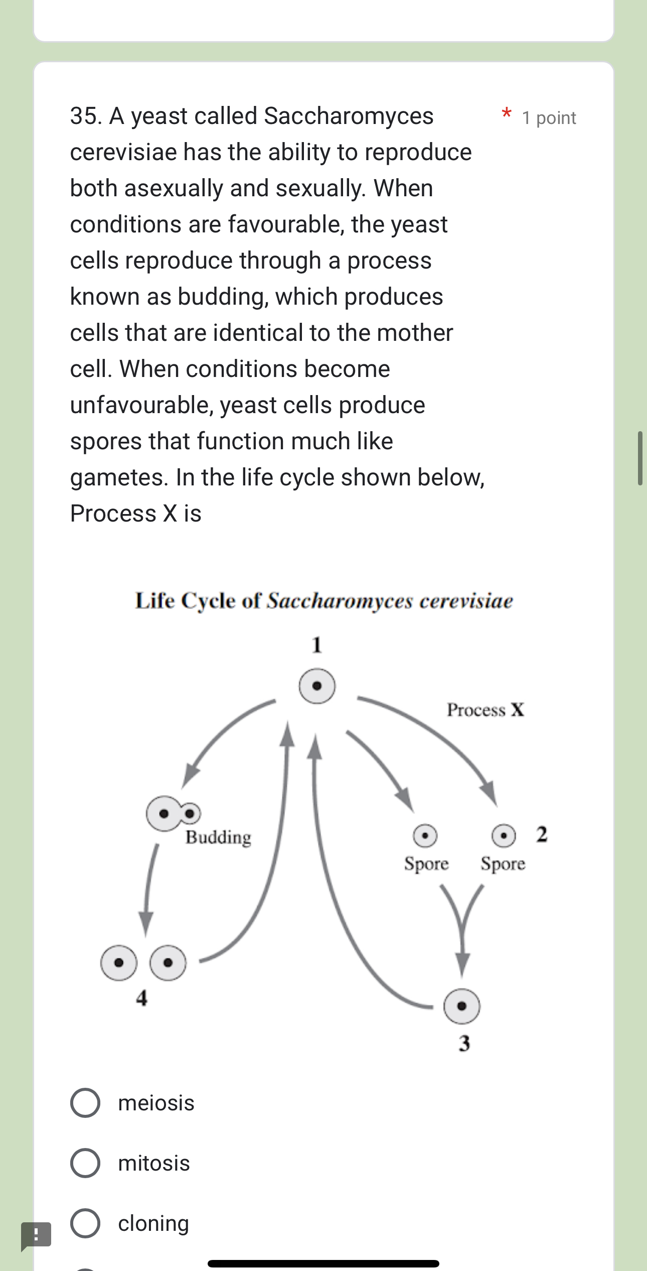 Solved A yeast called Saccharomyces1 ﻿pointcerevisiae has | Chegg.com