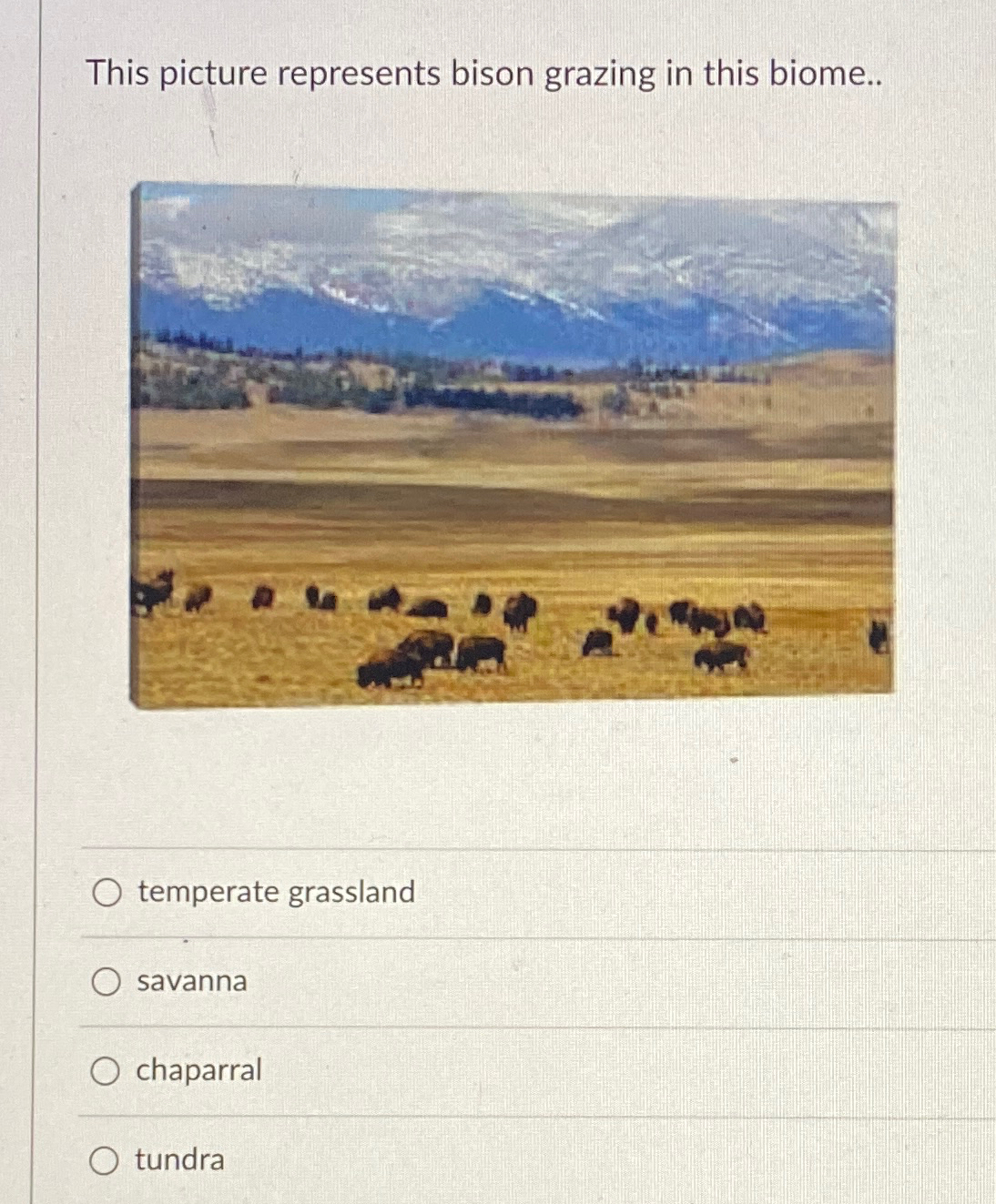 Solved This picture represents bison grazing in this | Chegg.com