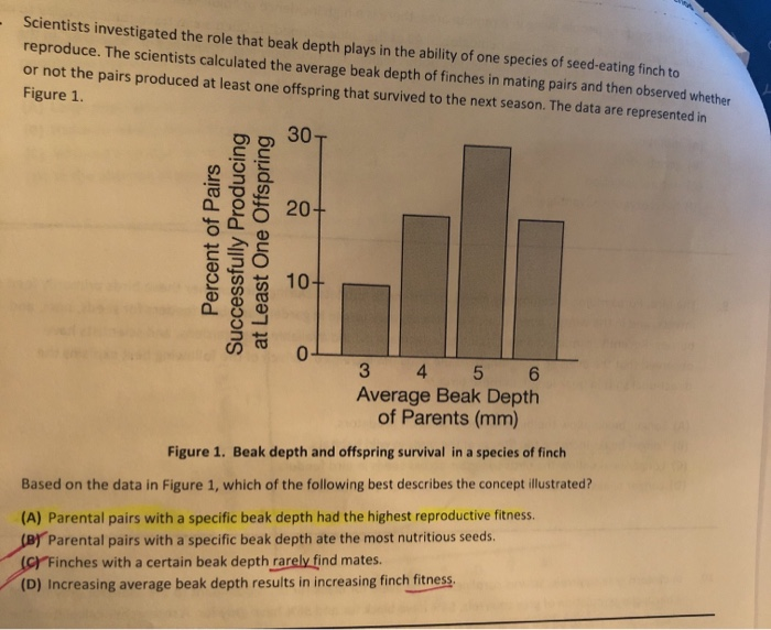 Solved Scientists investigated the role that beak depth | Chegg.com