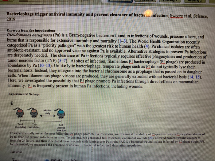 Solved Bacteriophage trigger antiviral immunity and prevent | Chegg.com
