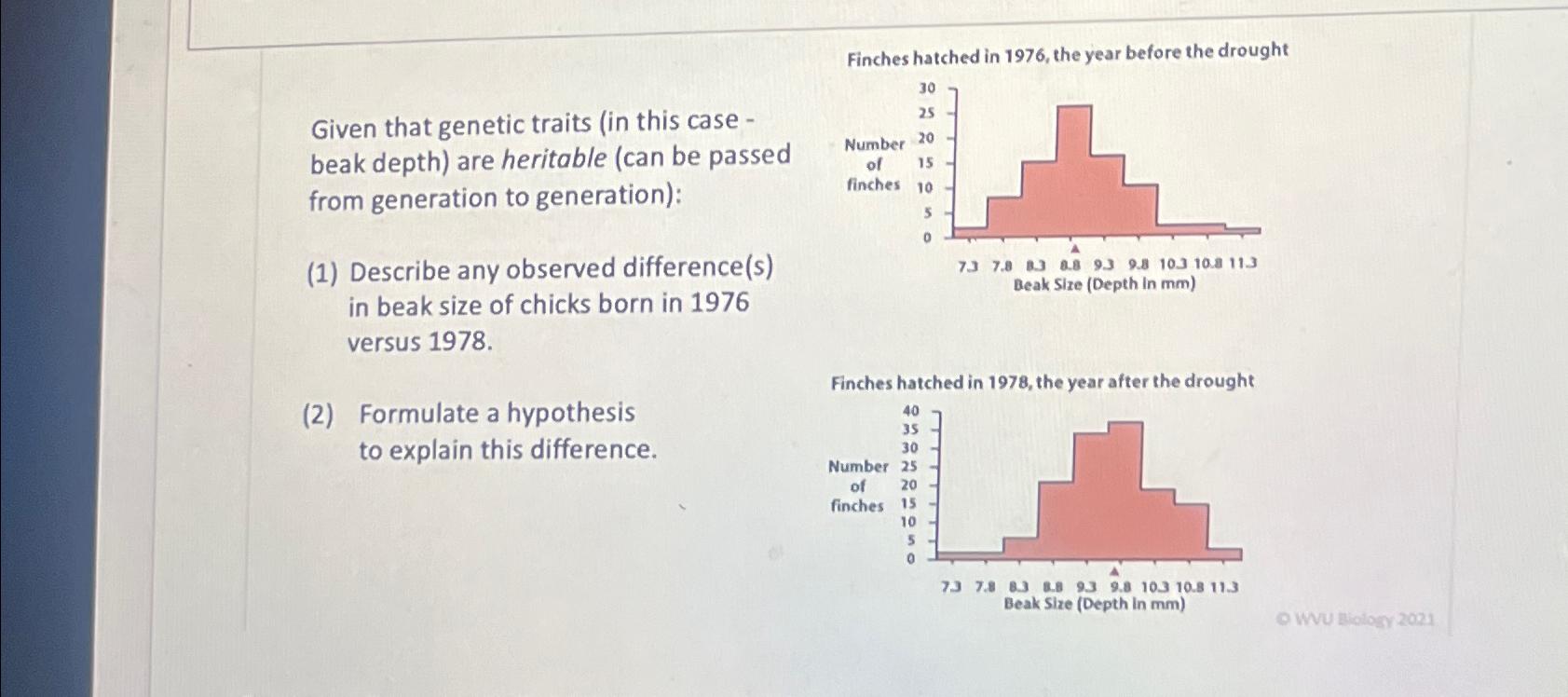Solved Finches hatched in 1976 , ﻿the year before the | Chegg.com