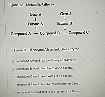 Solved Figure 8.3 - ﻿Metabolic PathwayIn Figure 8.3, ﻿if | Chegg.com