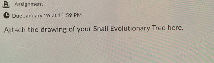 Solved Assignment Due January 26 at 11:59 PM Attach the | Chegg.com