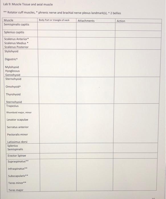 Solved Lab 9: Muscle Tissue and axial muscle Exercise 1. | Chegg.com