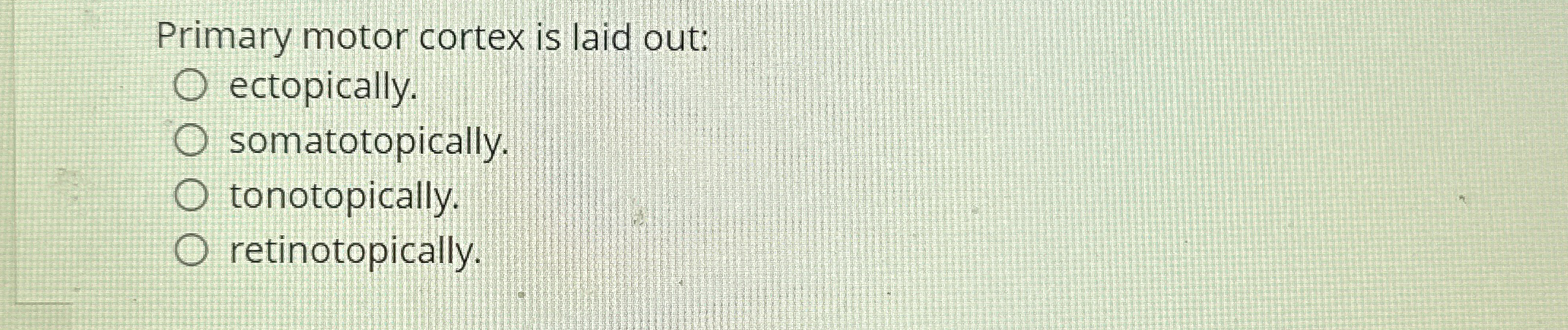 Solved Primary motor cortex is laid | Chegg.com