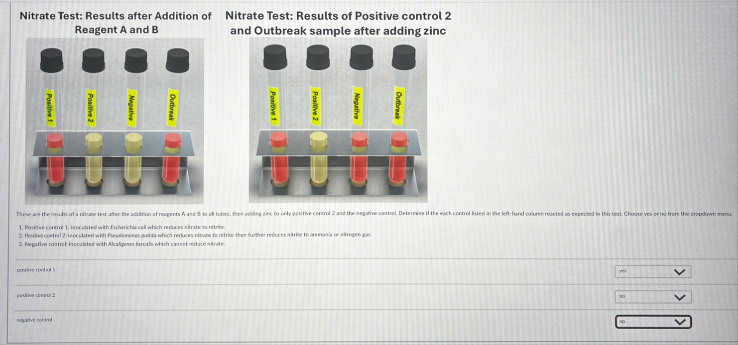 Solved Nitrate Test: Results after Addition of Reagent A and | Chegg.com