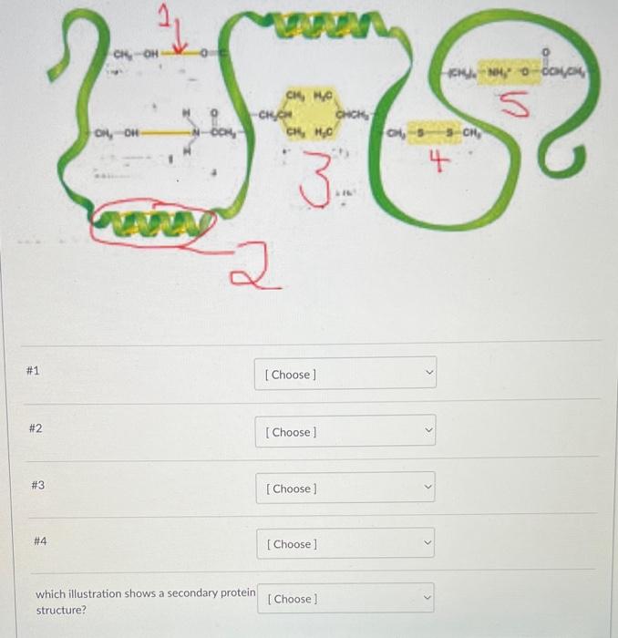 \#1 [Choose] \#2 [Choose] #3 [Choose] #4 [Choose] | Chegg.com