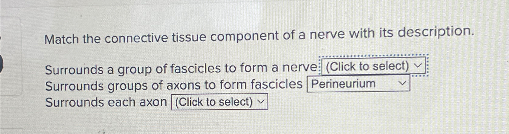 Solved Match the connective tissue component of a nerve with | Chegg.com